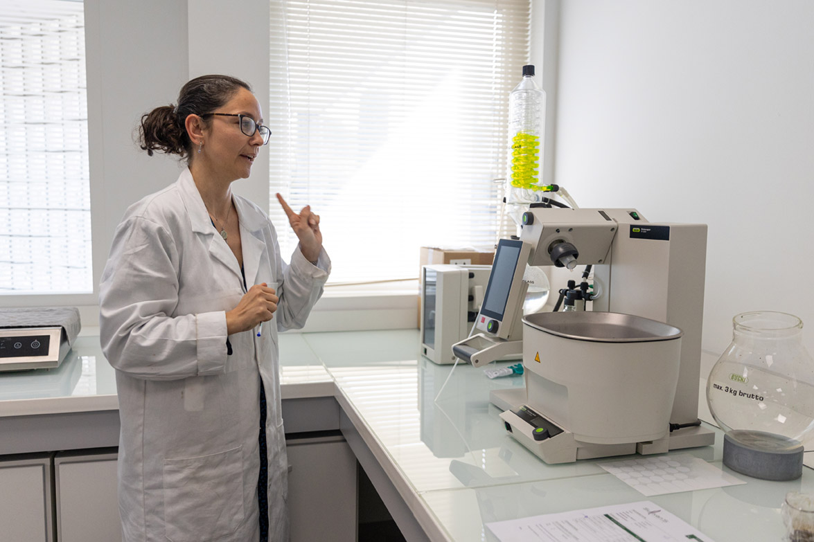 Sullivan’s : la success story de la vanille made in Saint-Raphaël ...