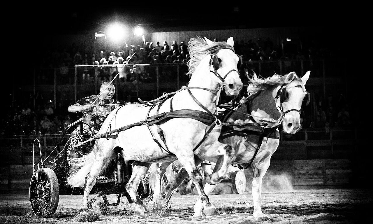Une course de chars pour célébrer les Jeux - Ville de Saint-Raphaël